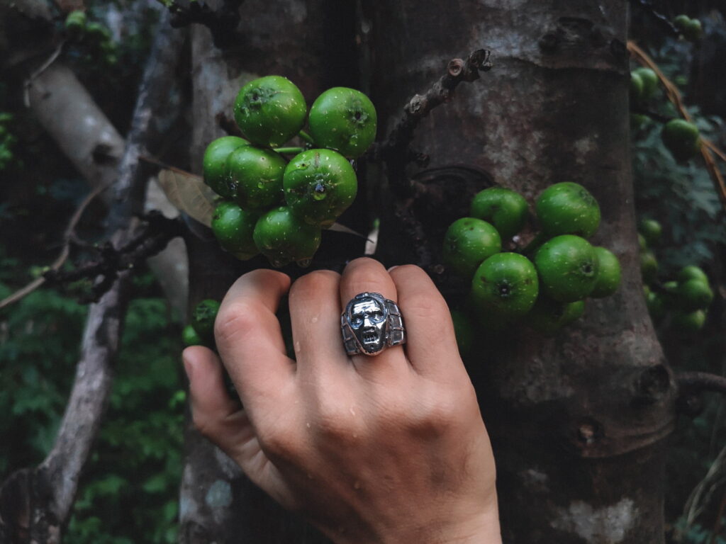 Hannibal Lecter Horror Ring - Macabria